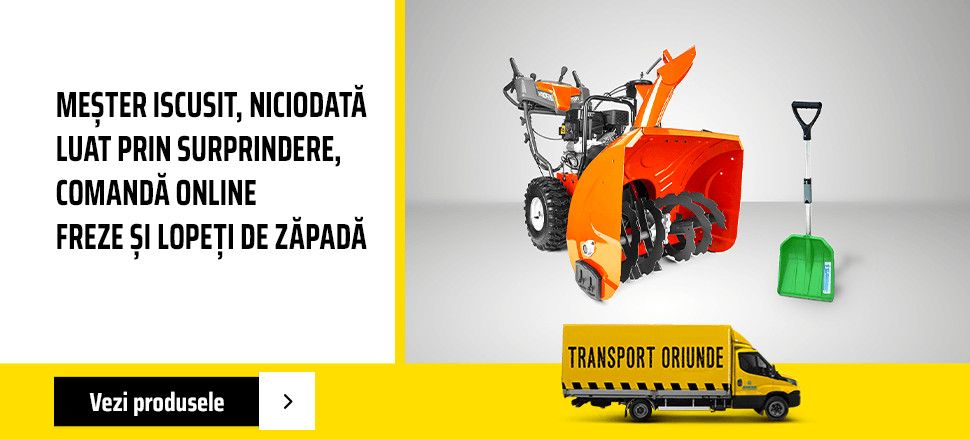 Mester iscuit - Intampinati iarna cu încredere si comanda online freze ...